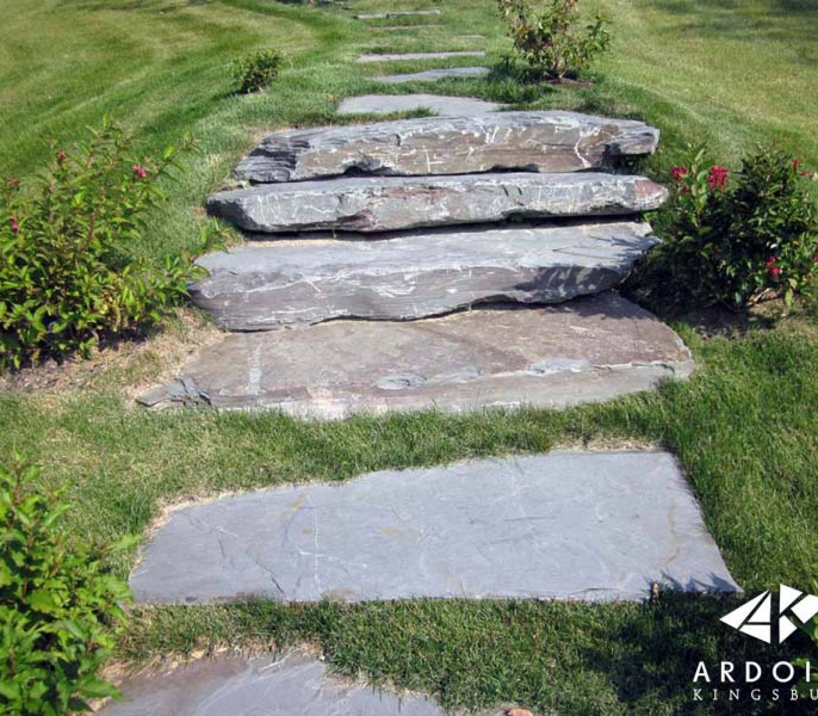 Pas chinois | Ardoise verte